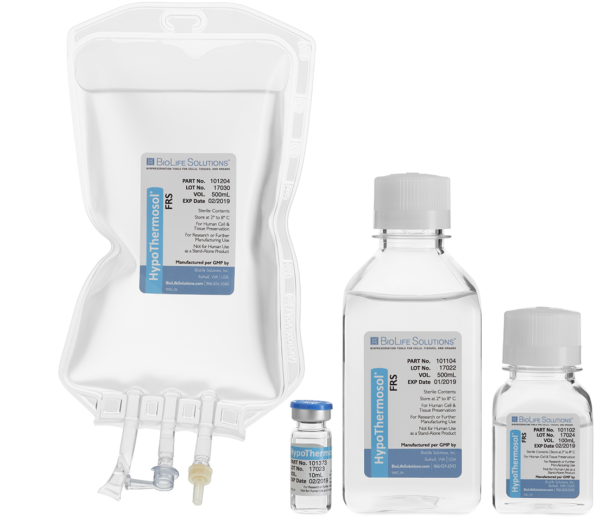 FUE Hair Transplant UK | ISHRS | Rejuvence Clinic